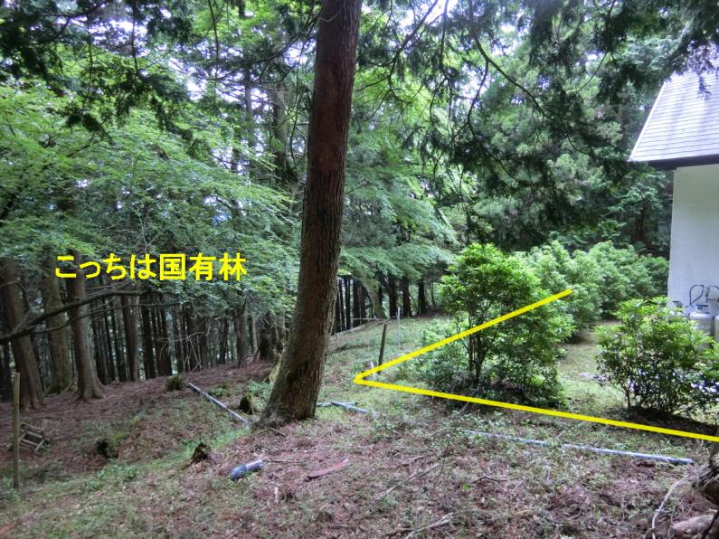 【戸建】伊豆市の東急天城高原別荘地販売価格100万円｜伊豆高原の不動産会社 AMSTEC株式会社(アムステック)