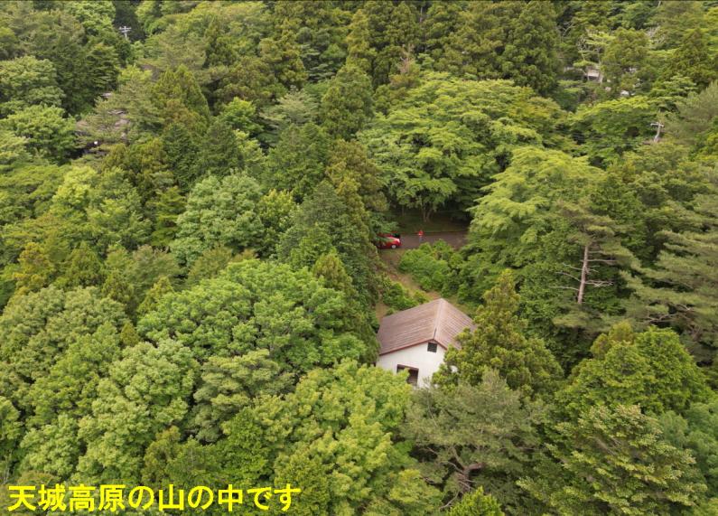 【戸建】伊豆市の東急天城高原別荘地販売価格100万円｜伊豆高原の不動産会社 AMSTEC株式会社(アムステック)